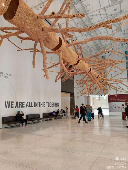 Seattle Library Museum Passes: Your Essential Guide to Unlocking Free ...