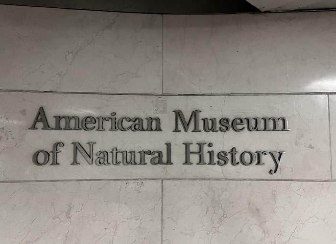 smithsonian museum virtual tour: Your Essential Guide to Digitally ...