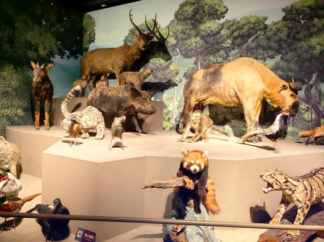 animal crossing new leaf museum: Your Ultimate Guide to Curating a World-Class Collection in ...