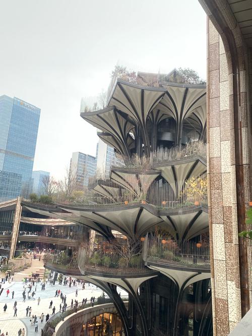 Confederate Museum Tree: Unearthing the Complex Legacy and Conservation ...