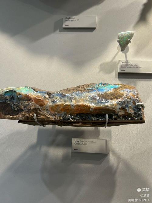 melbourne museum gallery: A Deep Dive into Victoria’s Cultural Treasures and Must-See Exhibits ...