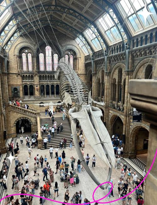 Melbourne Natural History Museum: Unearthing Australia's Wild Past and Present at the Melbourne ...