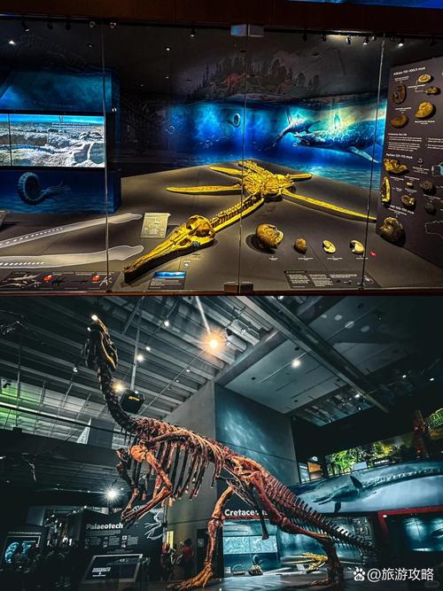 Museum Skyblock: Unlocking the Collection - A Deep Dive into Artifacts ...